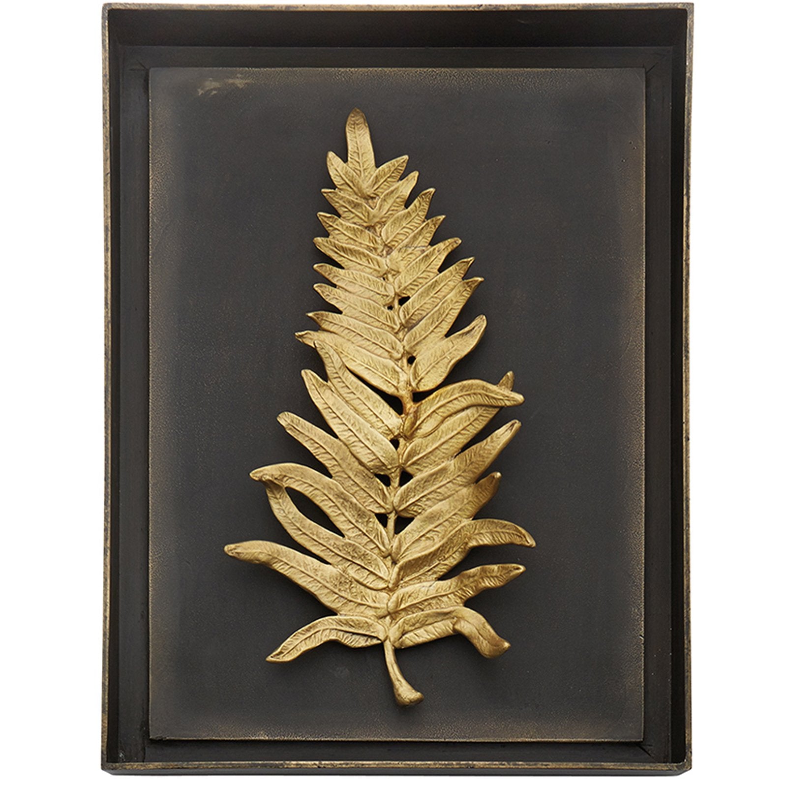 Fern Shadow Box – daylight